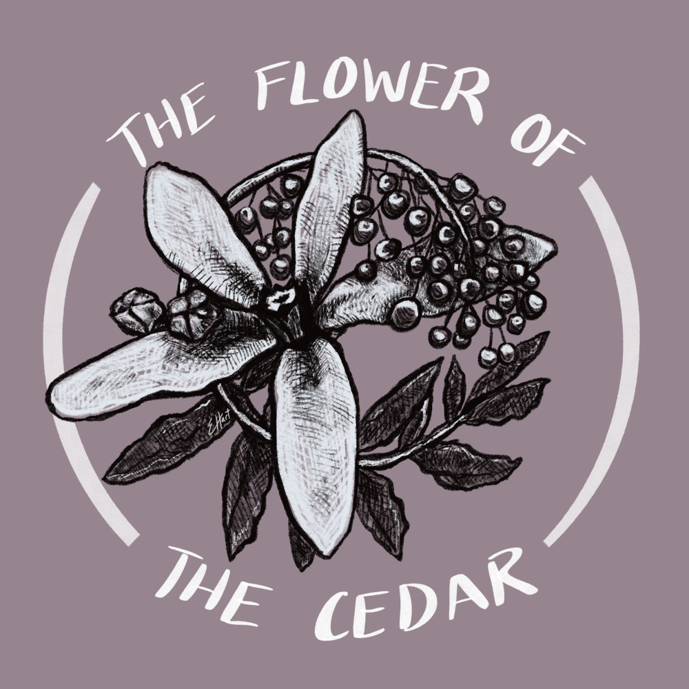 Listen to Our Podcasts - Mythgard Institute